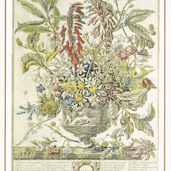 Robert Furber 12 Months of Flowers - Etsy