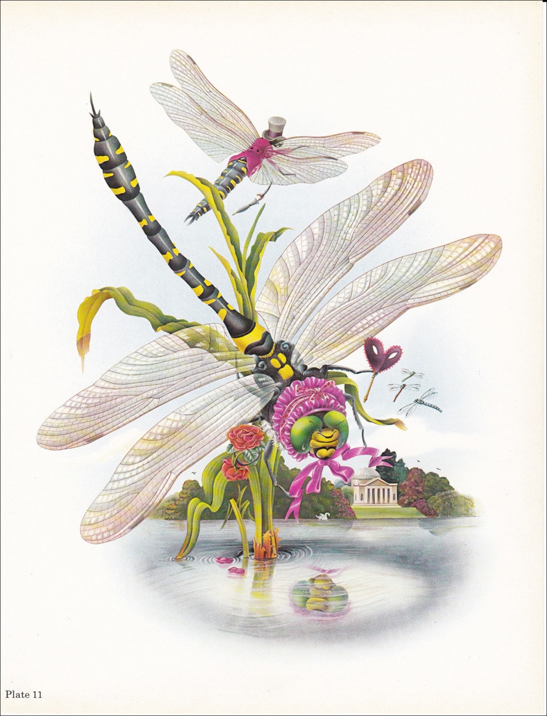 Psychedelic Dragonfly Alan Aldridge Vintage Print Anthropomorphic Retro ...