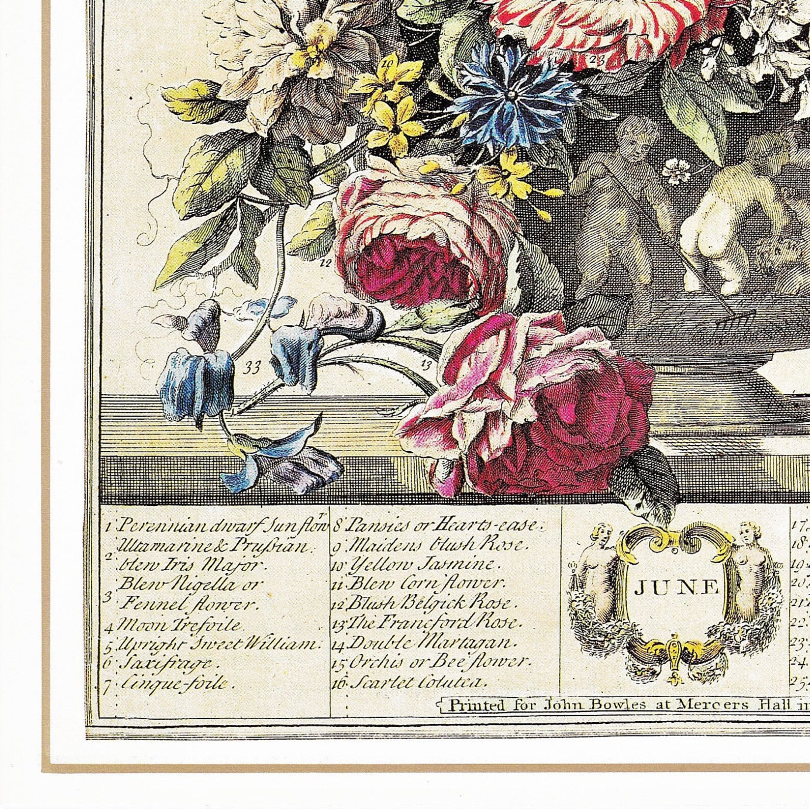 June Vintage Botanical Art Print Winterthurs 12 Months of - Etsy