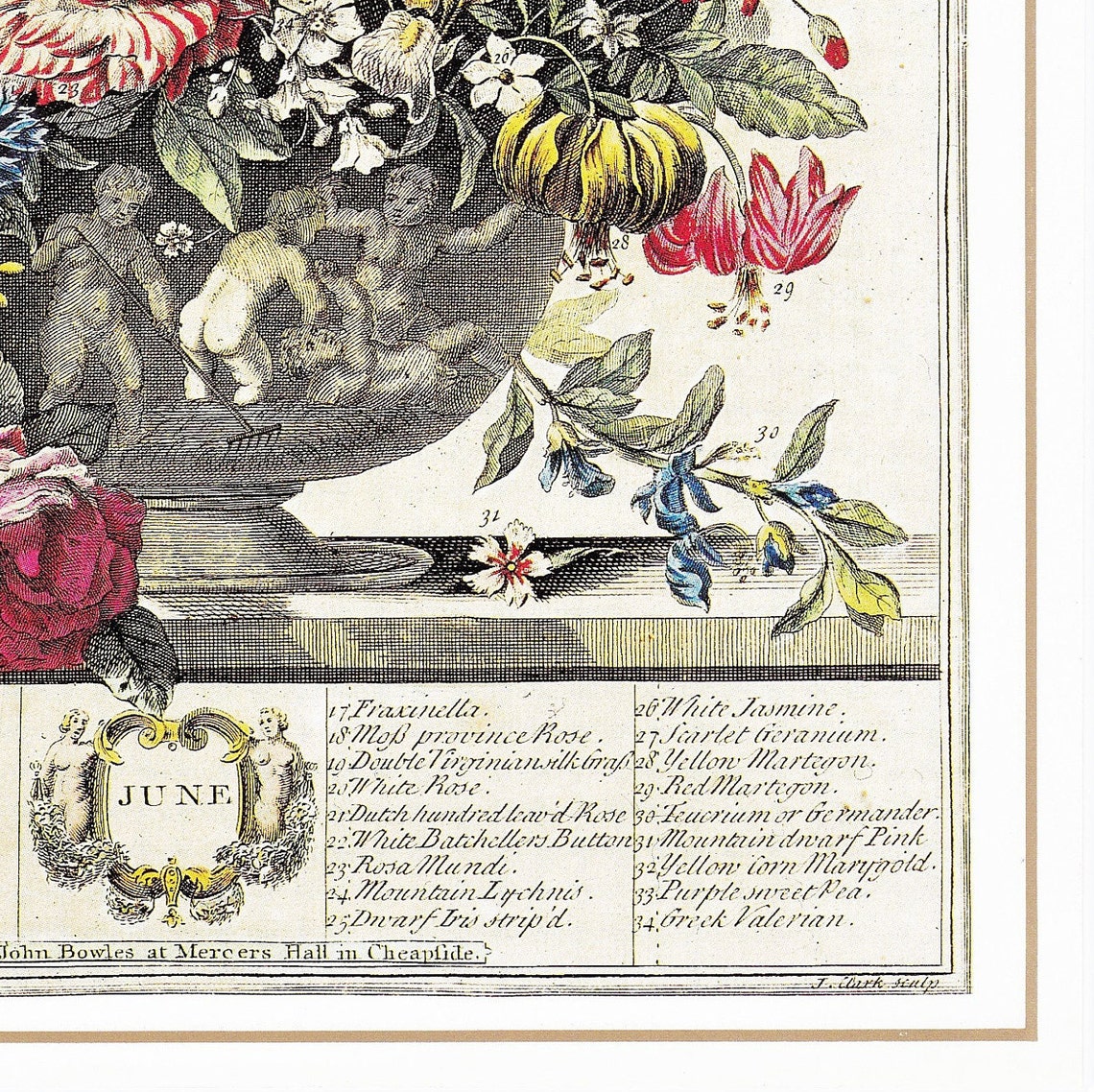 June Vintage Botanical Art Print Winterthurs 12 Months of - Etsy