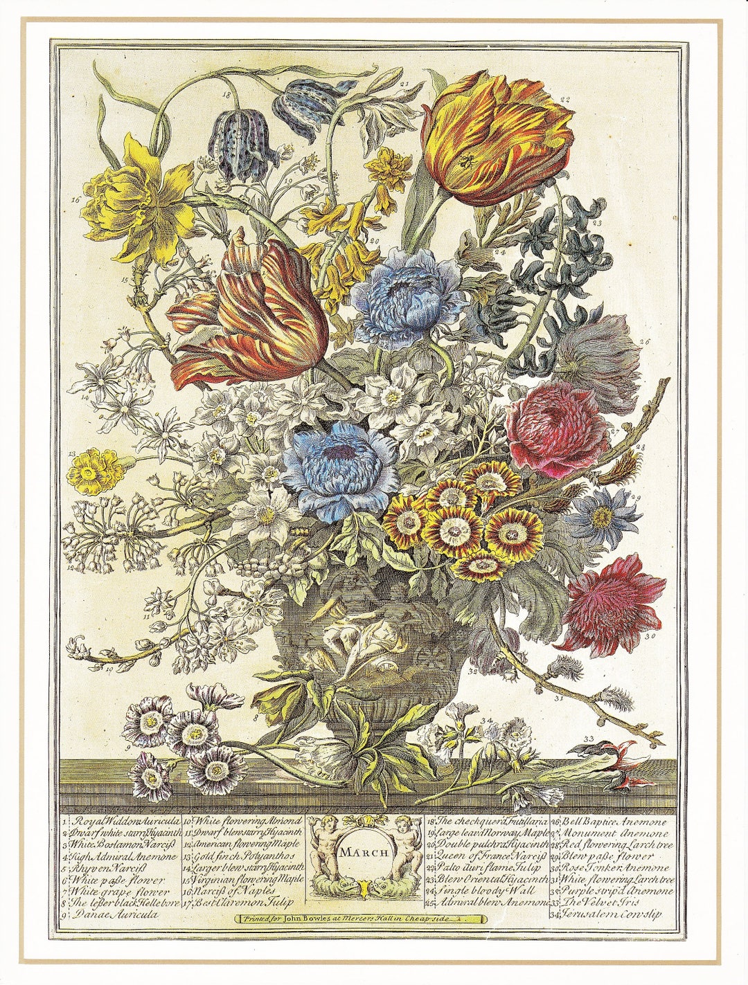 March Vintage Botanical Art Print Winterthurs 12 Months of Flowers ...