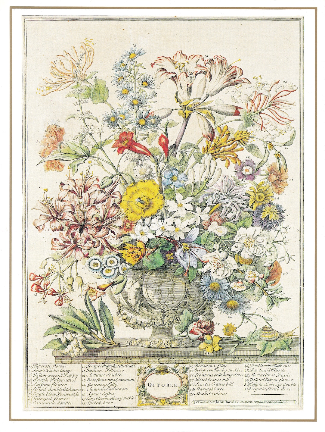 October Vintage Botanical Art Print Winterthurs 12 Months of Flowers ...