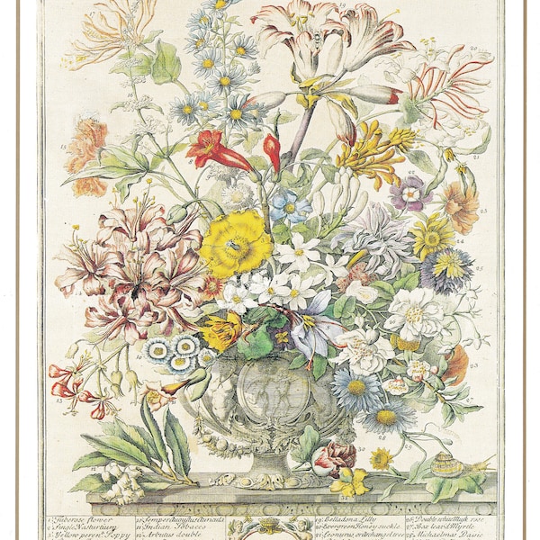 Robert Furber - Etsy