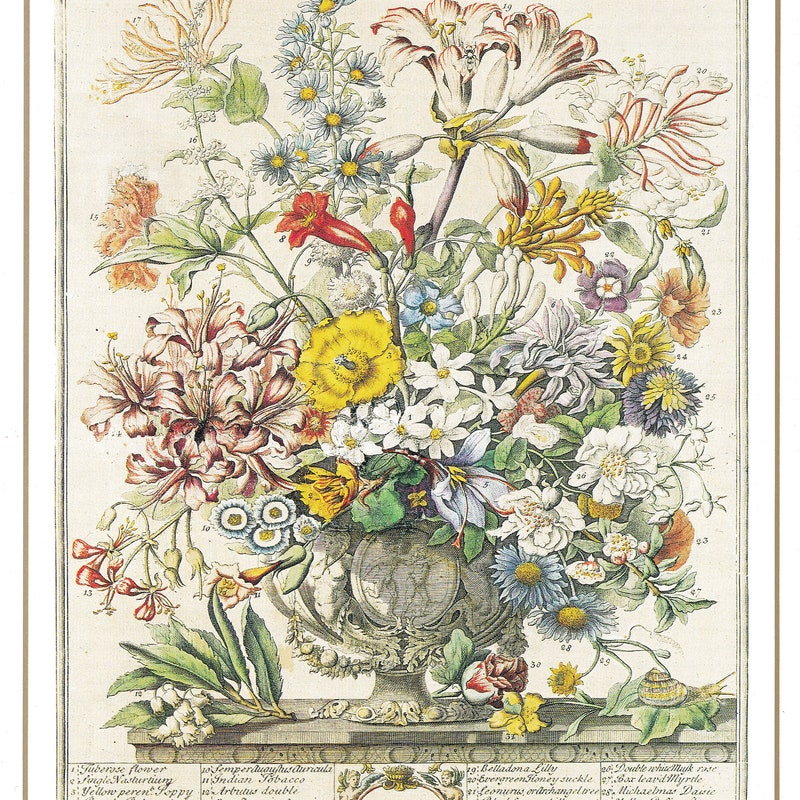 Robert Furber - Etsy