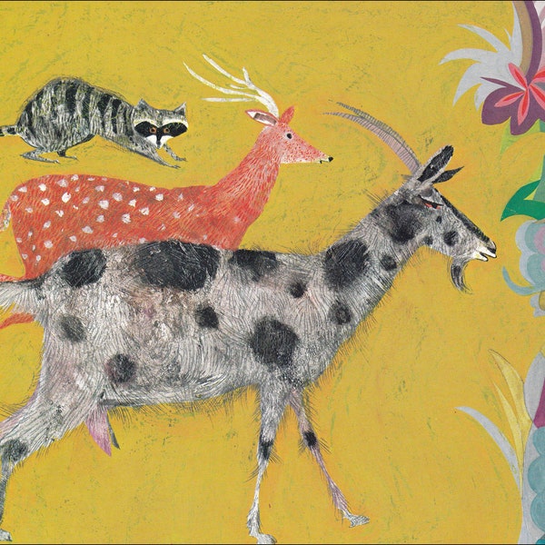 Brian Wildsmith - Etsy