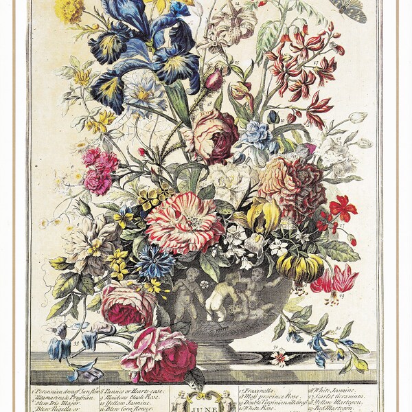 Robert Furber 12 Months of Flowers - Etsy