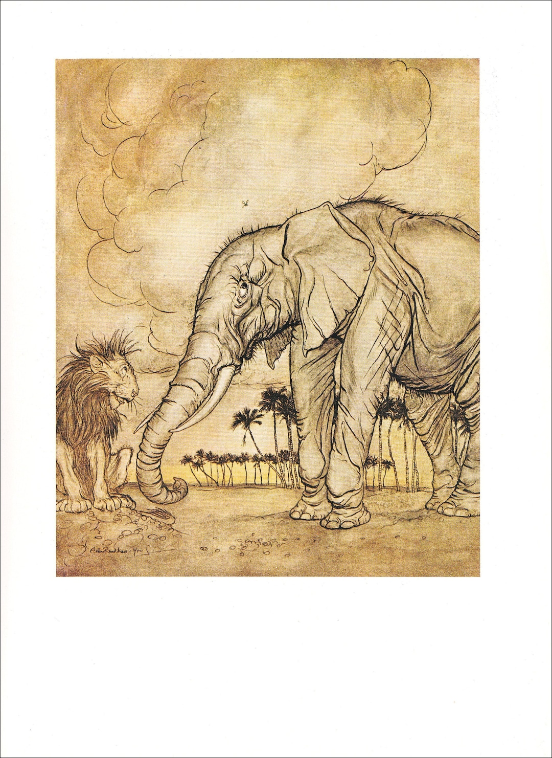 Aesop's Fables Arthur Rackham the Lion, Jupiter, and the Elephant Art ...
