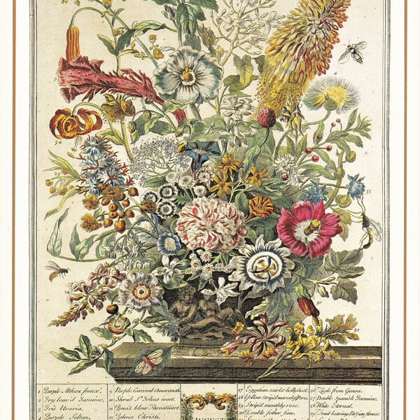 Robert Furber - Etsy