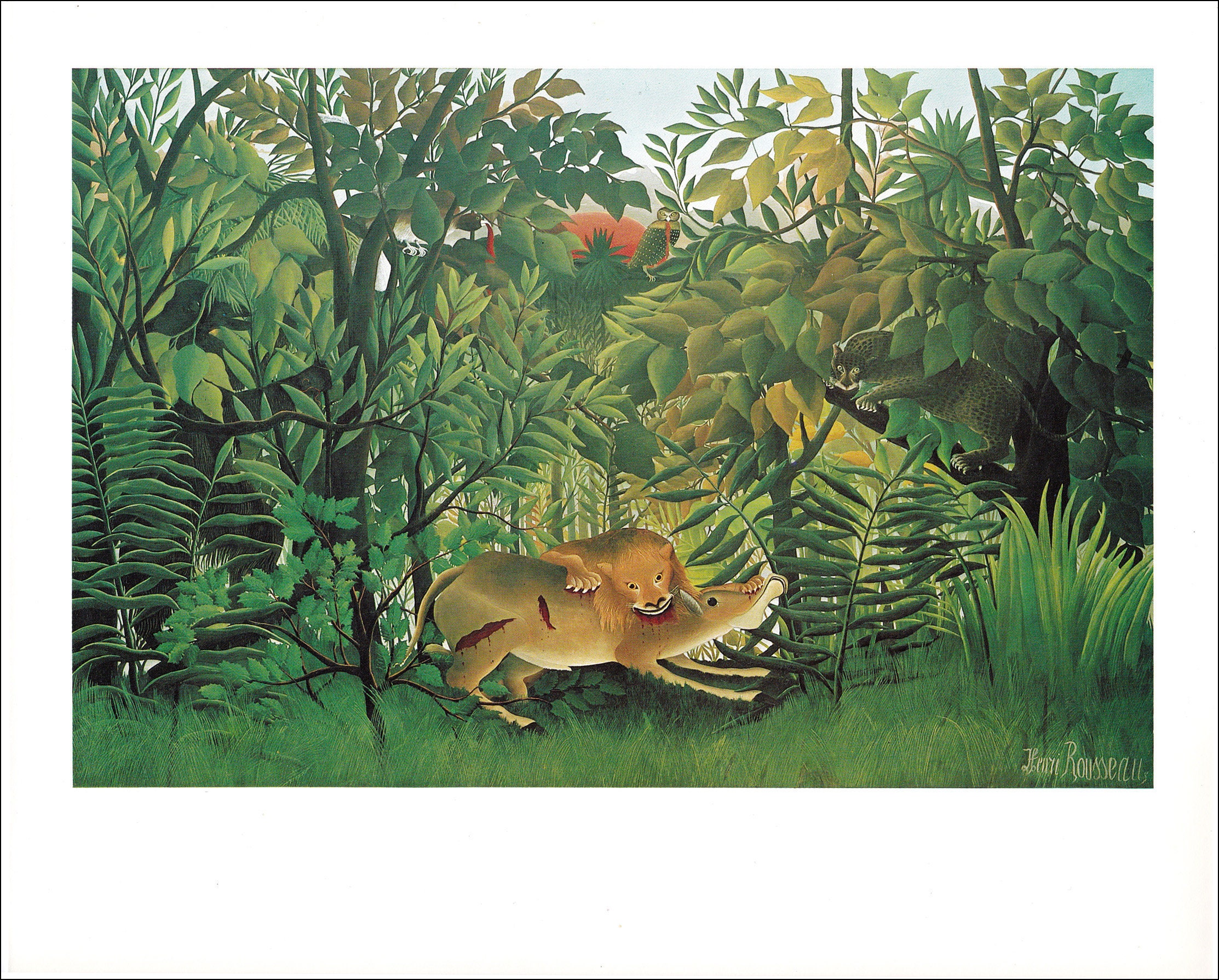 Jungle With A Lion By Henri Rousseau