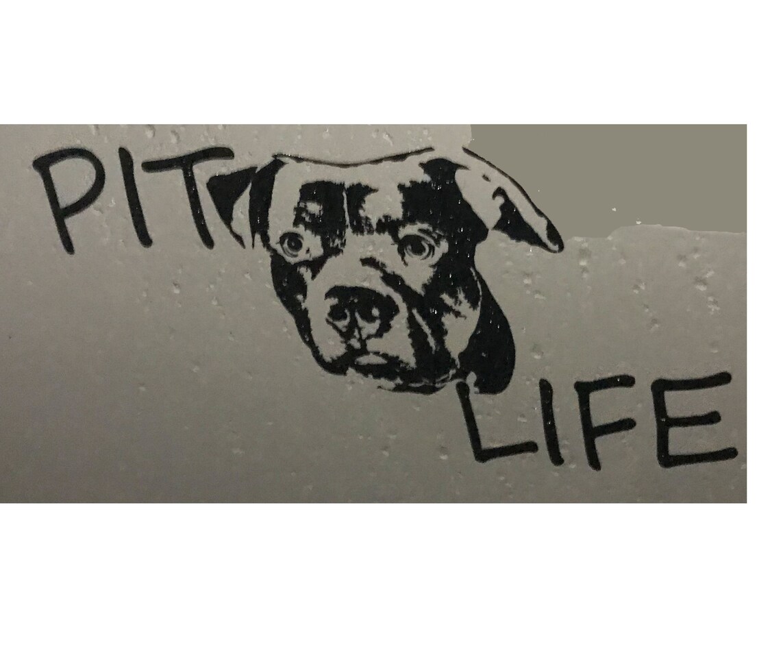 Pit Life SVG Eps Dxf Png Files for Cutting Machines Like Silhouette ...