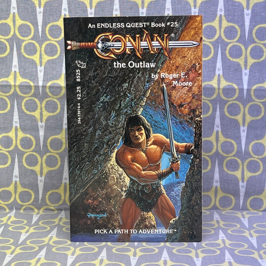 Conan the Outlaw by Roger E Moore Paperback Book an Endless Quest Book ...