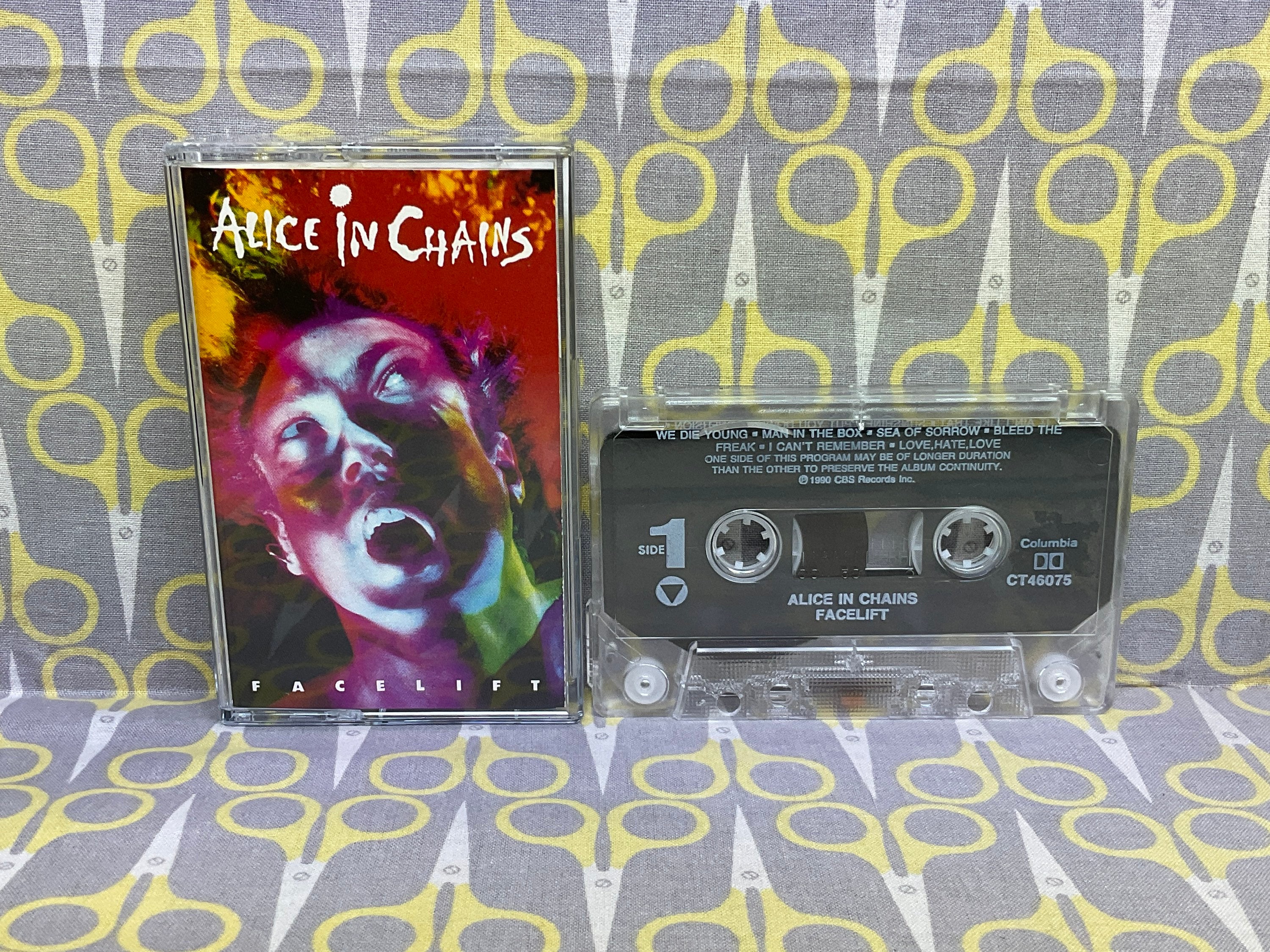 Alice In Chains Facelift