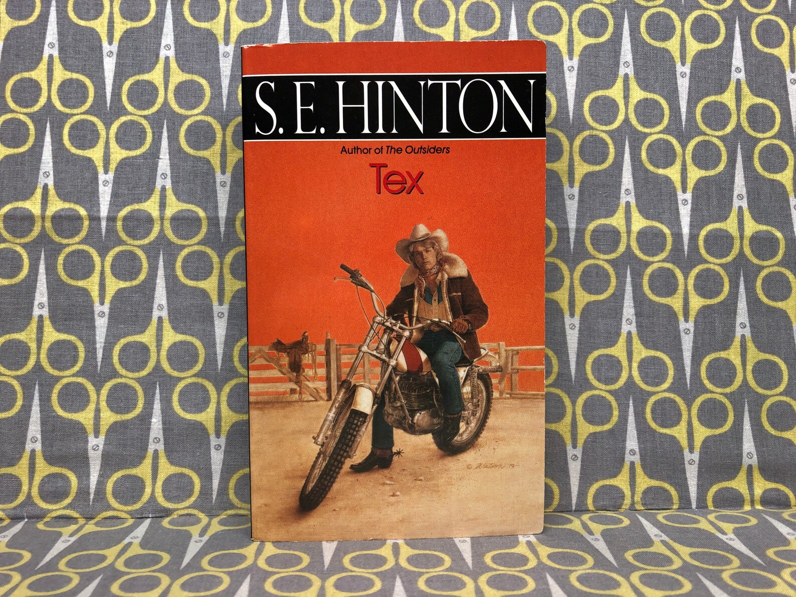 Tex by SE Hinton Paperback Book Vintage Teen Drama - Etsy