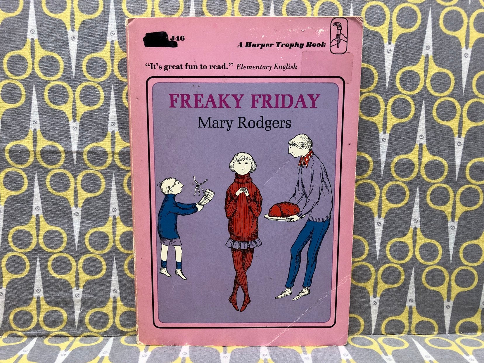Freaky Friday Book Cover