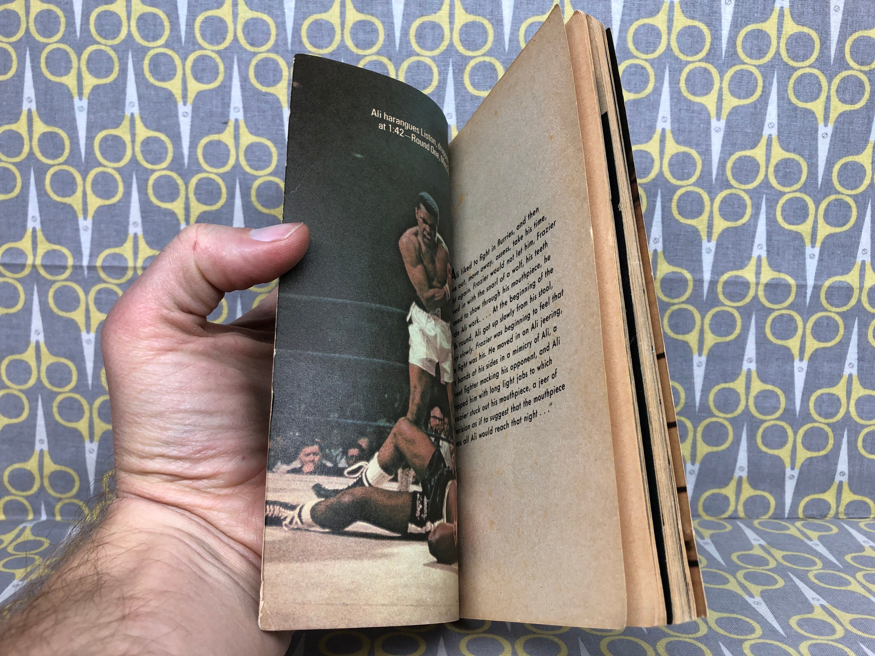 Norman Mailer Notebooks