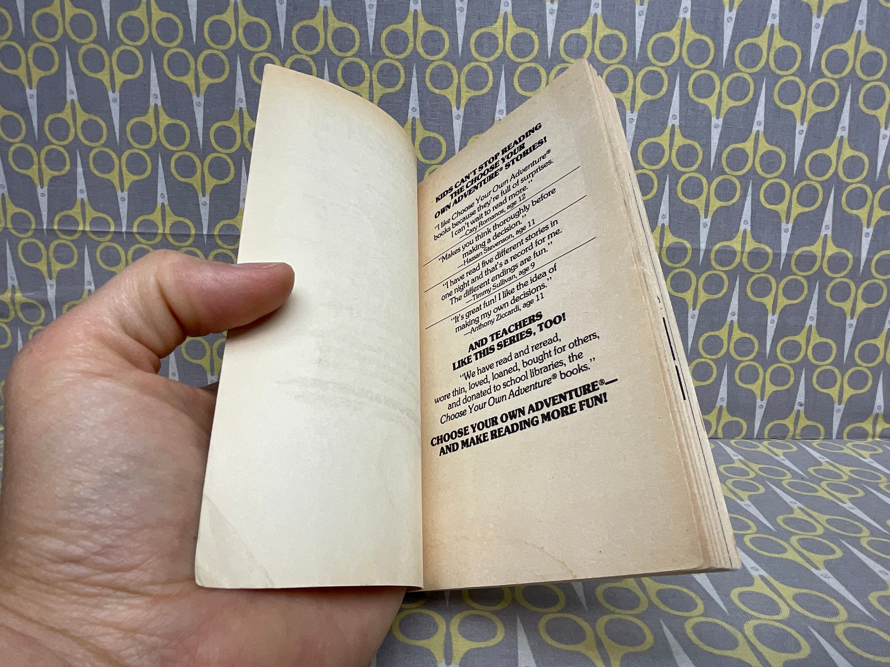 The Mystery Of Chimney Rock by Edward Packard paperback book | Etsy