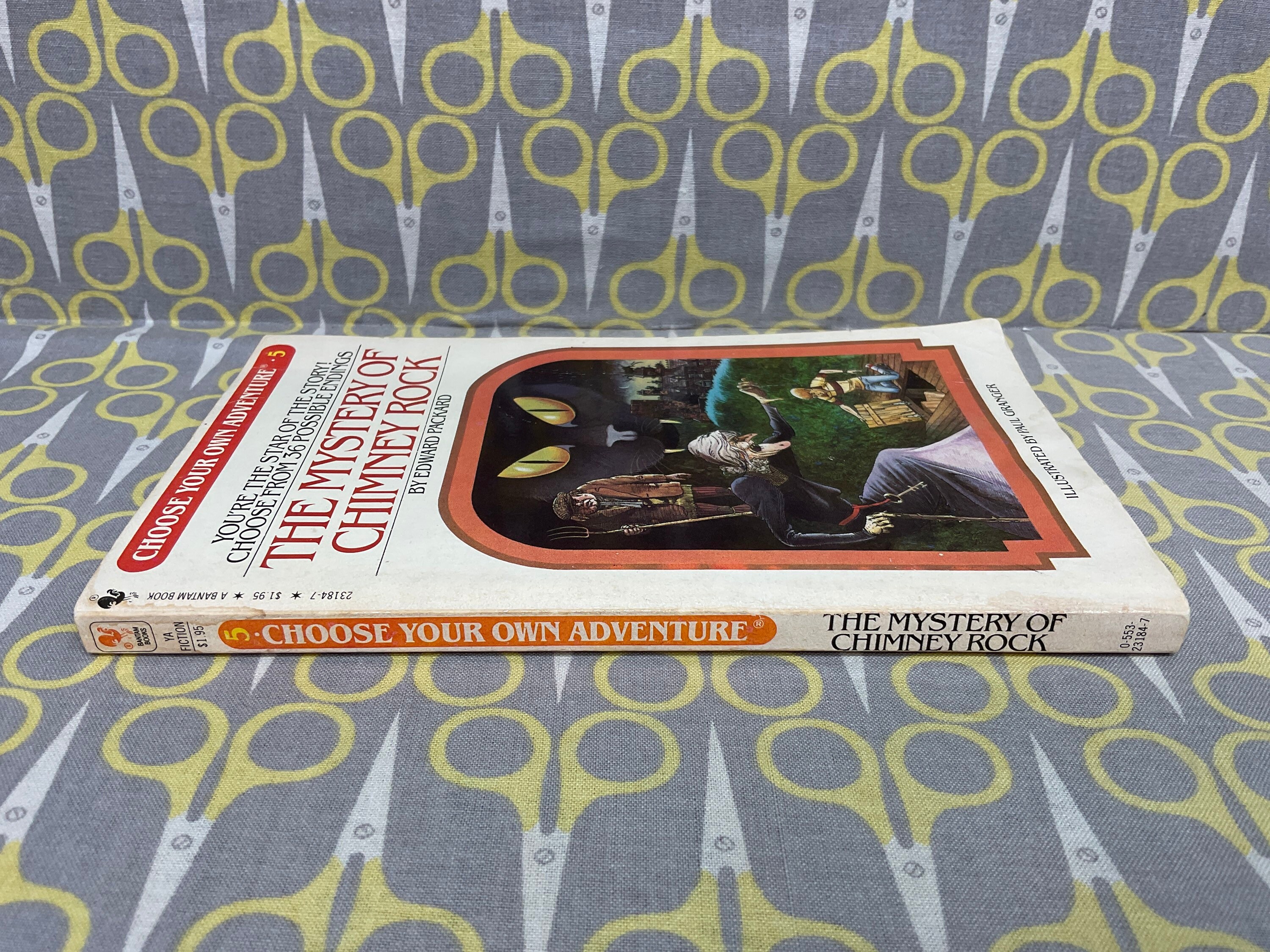 The Mystery Of Chimney Rock by Edward Packard paperback book | Etsy