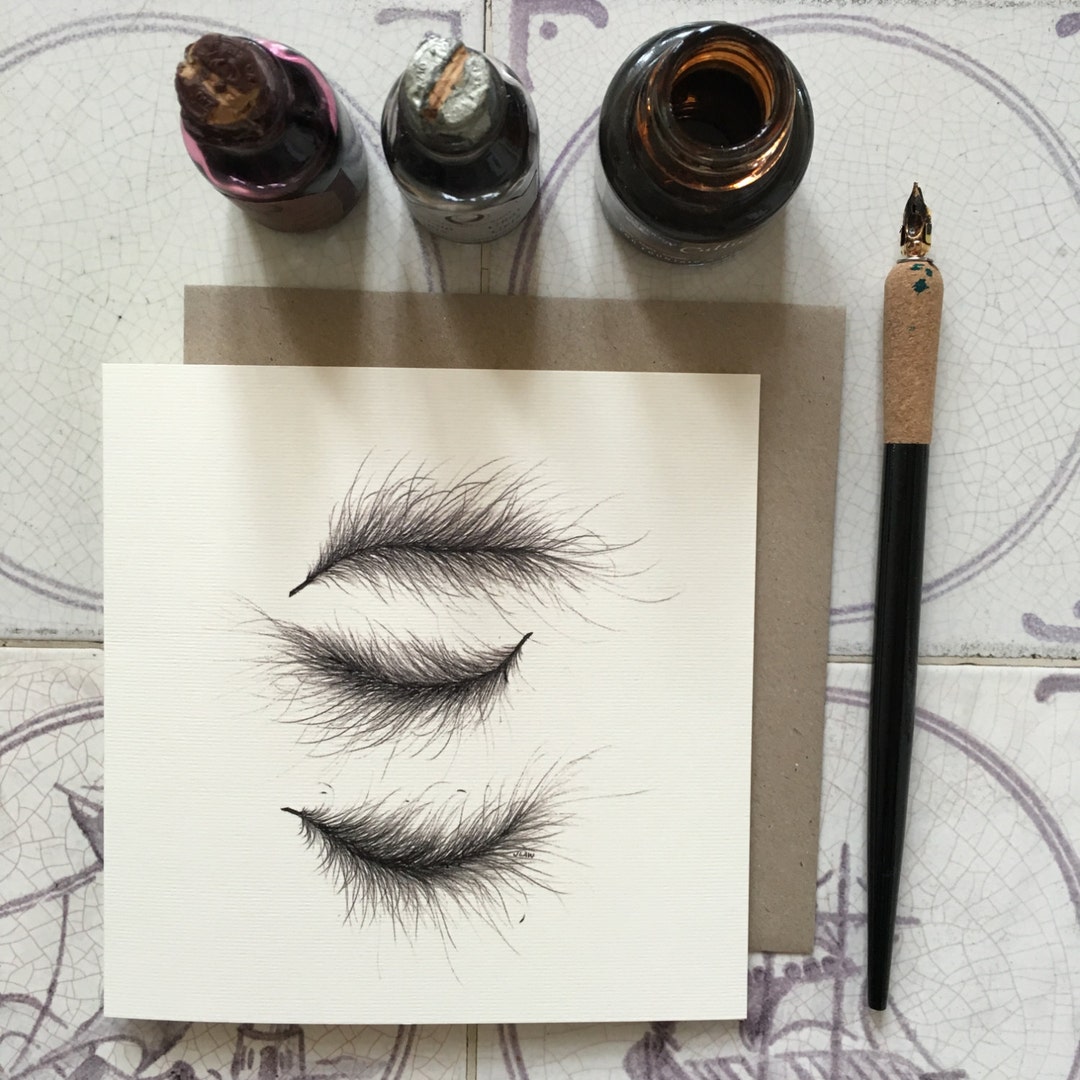 3 Feathers Illustrated Card | Any Occasion Card | Square Note Card ...