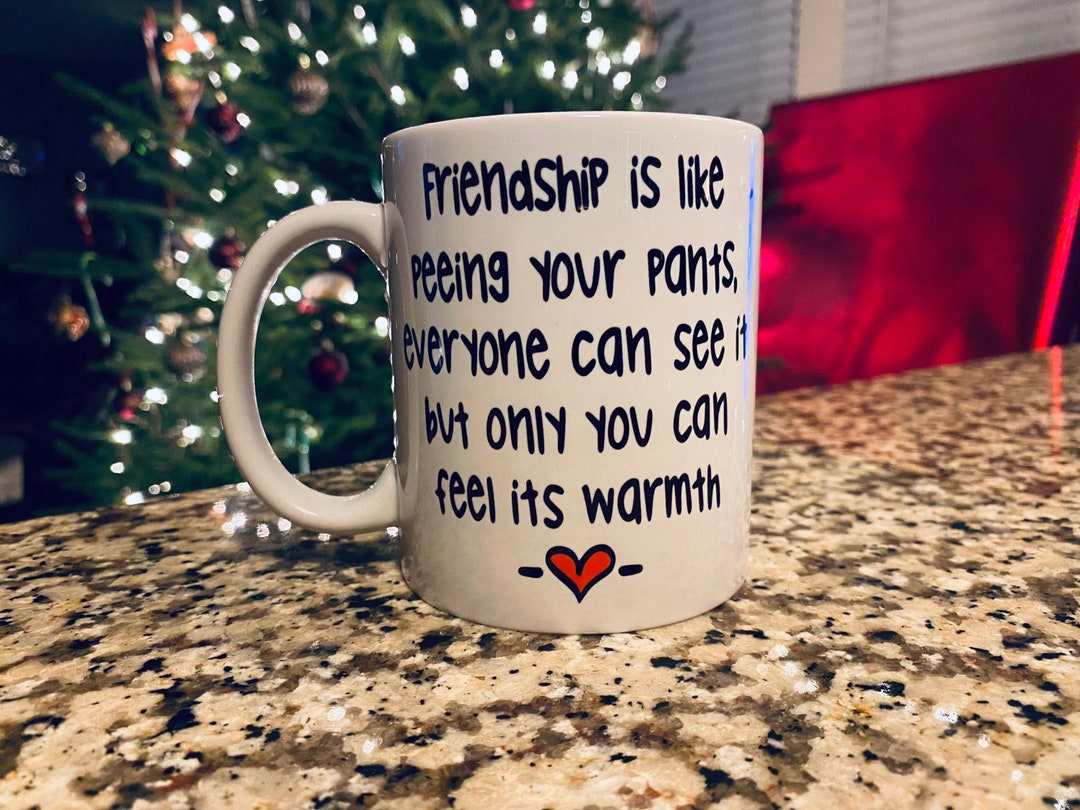 Funny Friendship Mug, Funny Gift for a Friend, Friendship is Like ...