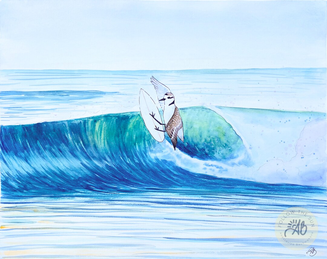 Surfing Snowy Plover Art Print - Etsy