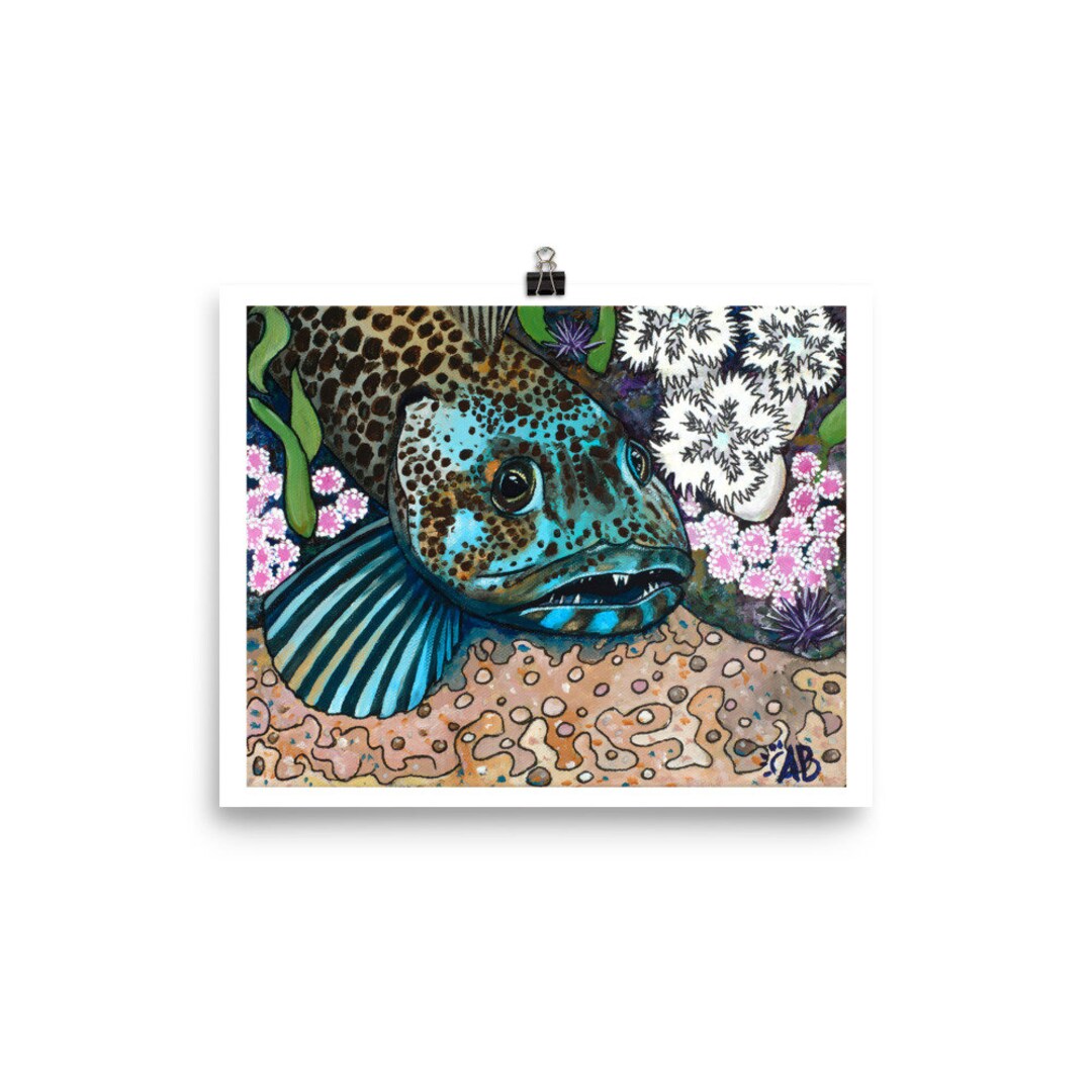 Lingcod Art Print - Etsy