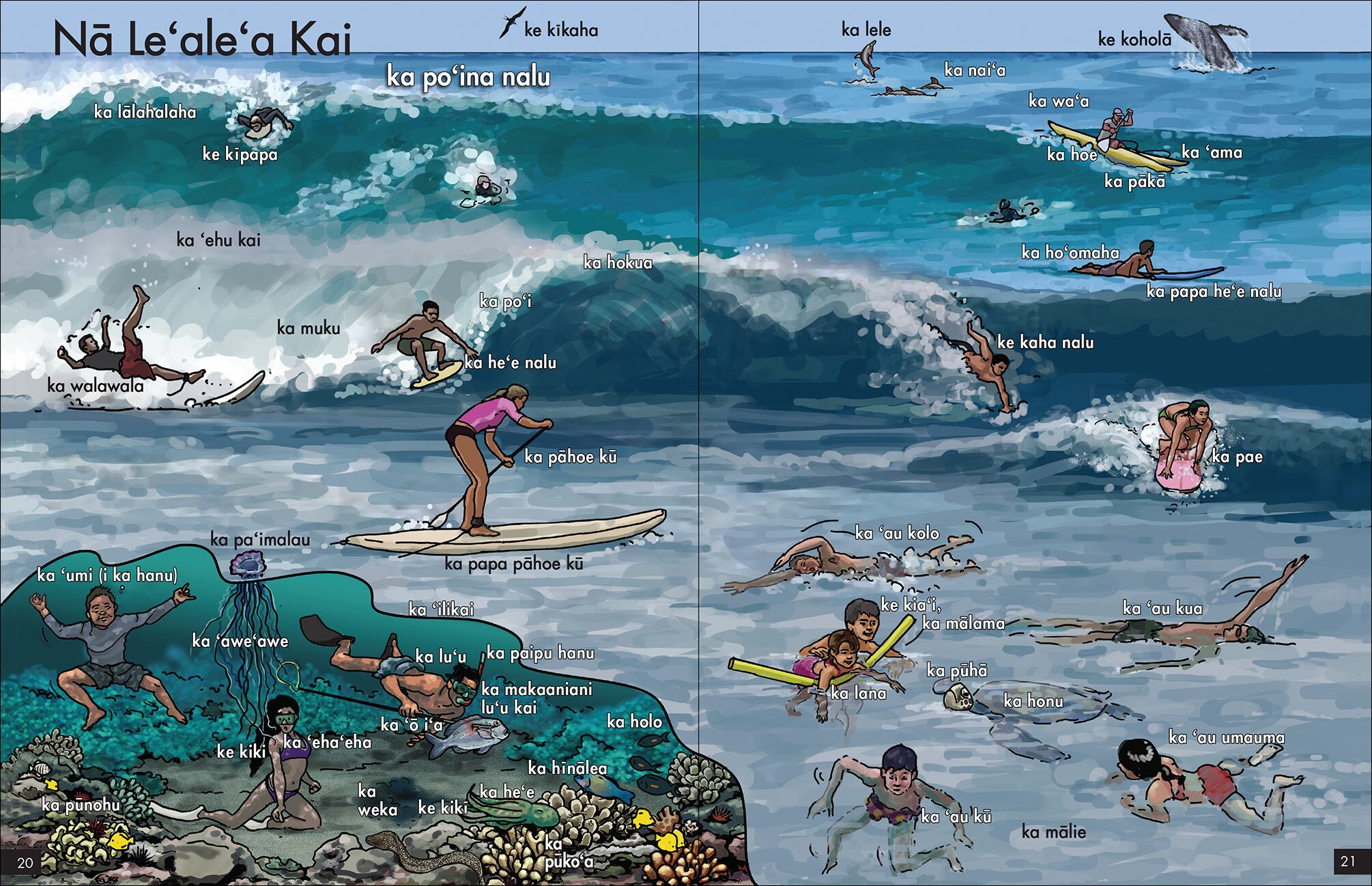 Special Hawaiian Book Set - Colorful Illustrated Vocab Books for Keiki ...