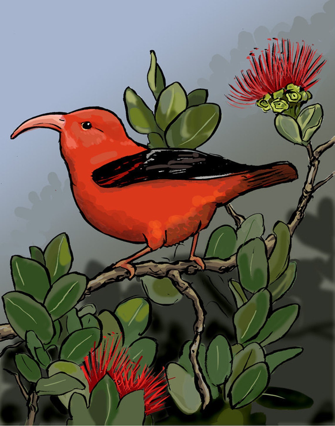 Hawaiian I'iwi Bird Print - Hand + Digital Limited Edition - Etsy