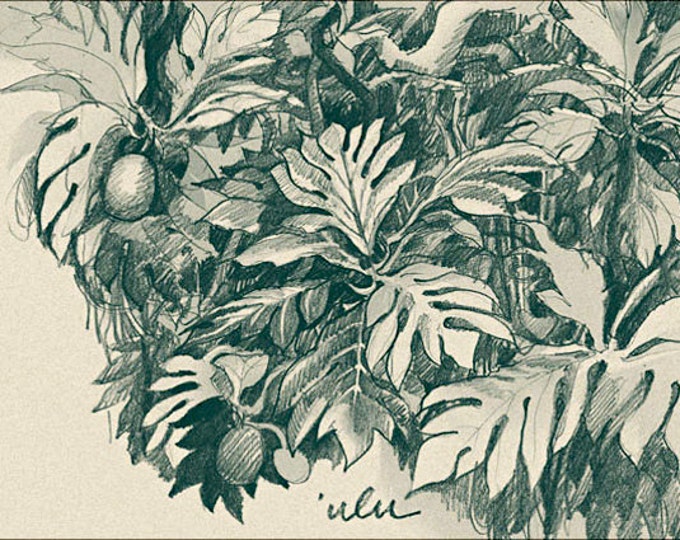 HAWAIIAN ULU (breadfruit) CARD Set. Notecards With Art by Hawaii Artist ...