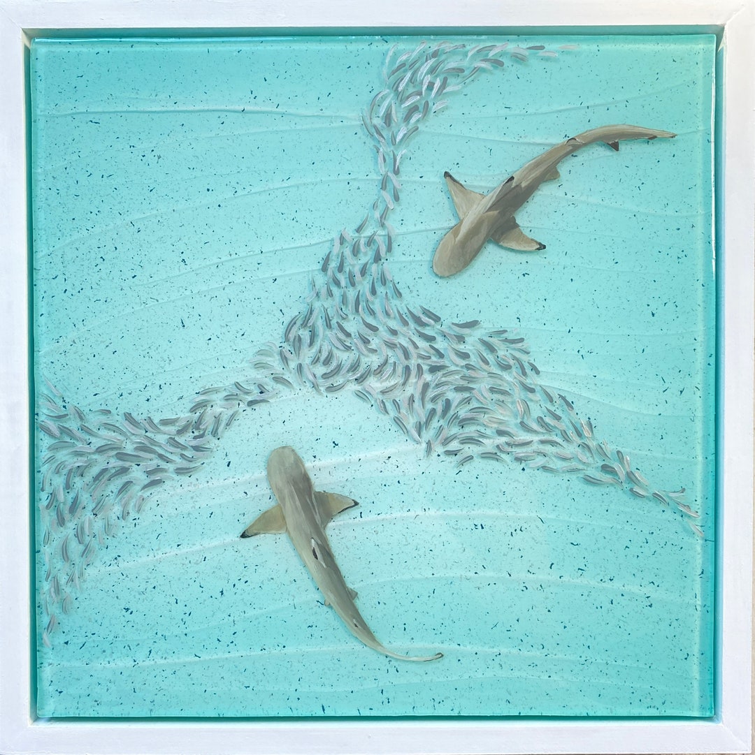 Black Tip Sharks - 12" X 12" Resin Shark Painting - Framed - Etsy