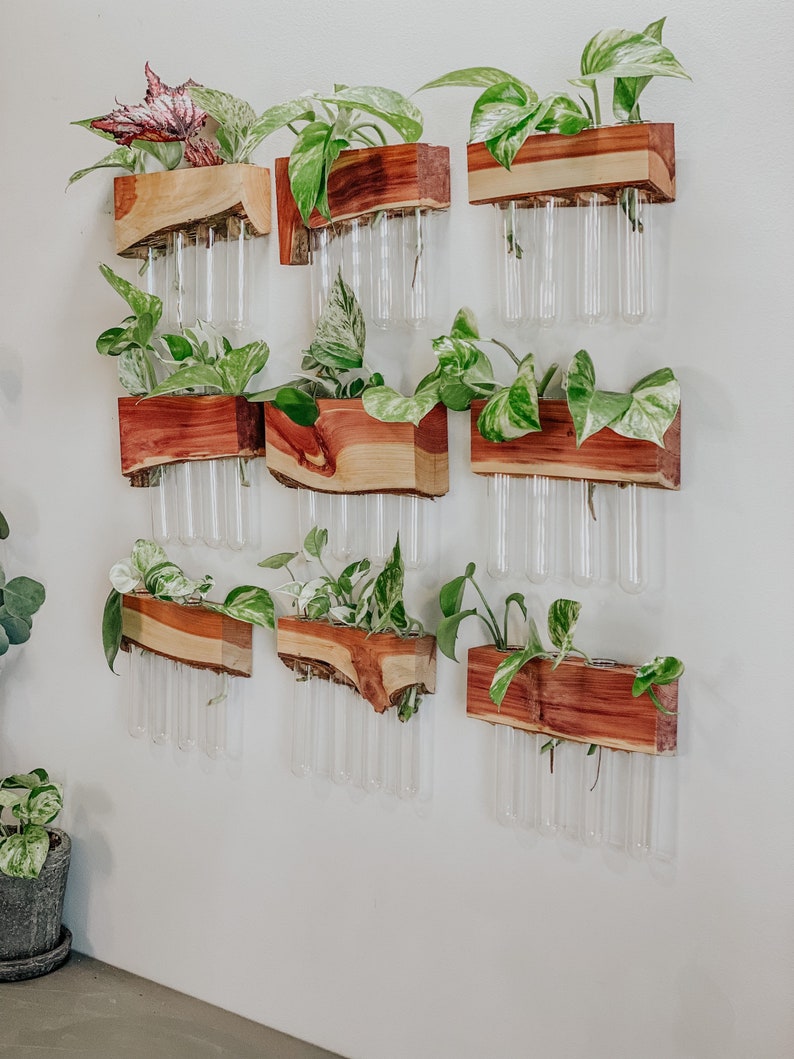 Plant Propagation Wall / Hydroponic Plant Wall / Plantscape / | Etsy