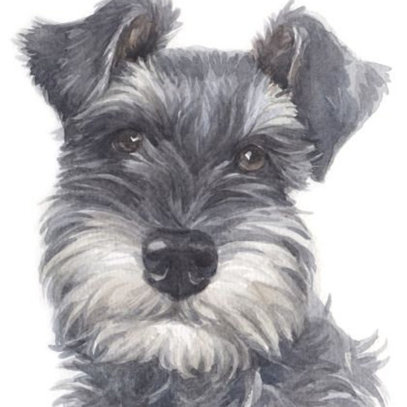 Schnauzer Fabric - Etsy