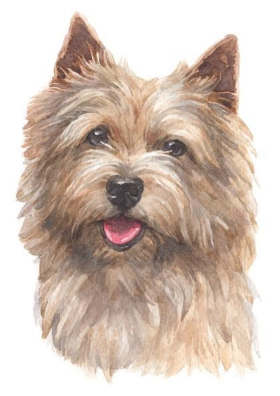 Watercolour Norwich Terrier Dog Breed Panel | Printed Fabric | Natural ...