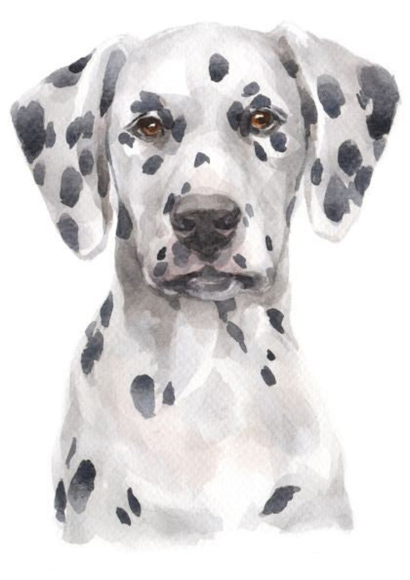Watercolour Dalmation Dog Breed Panel | Printed Fabric | Natural Panama ...
