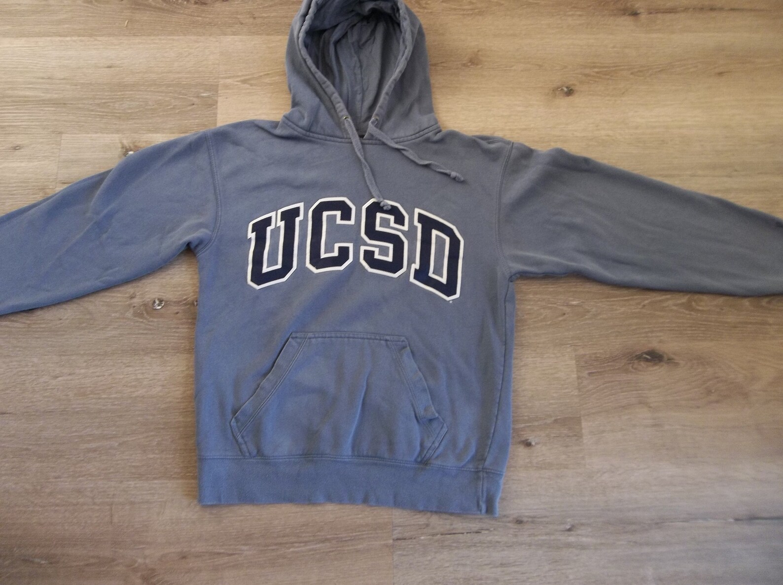 Vintage Sweatshirt UCSD Hoody 1990s 00s University of | Etsy