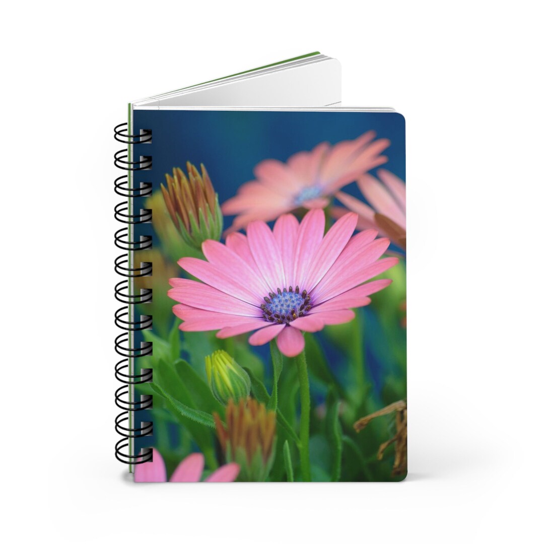 African Daisy III - Writing Journal - Original Photography by Brenda ...