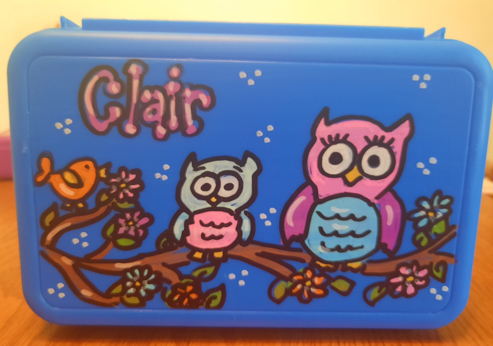 Personalized Pencil Box Girl Pencil Box School Supply Box - Etsy