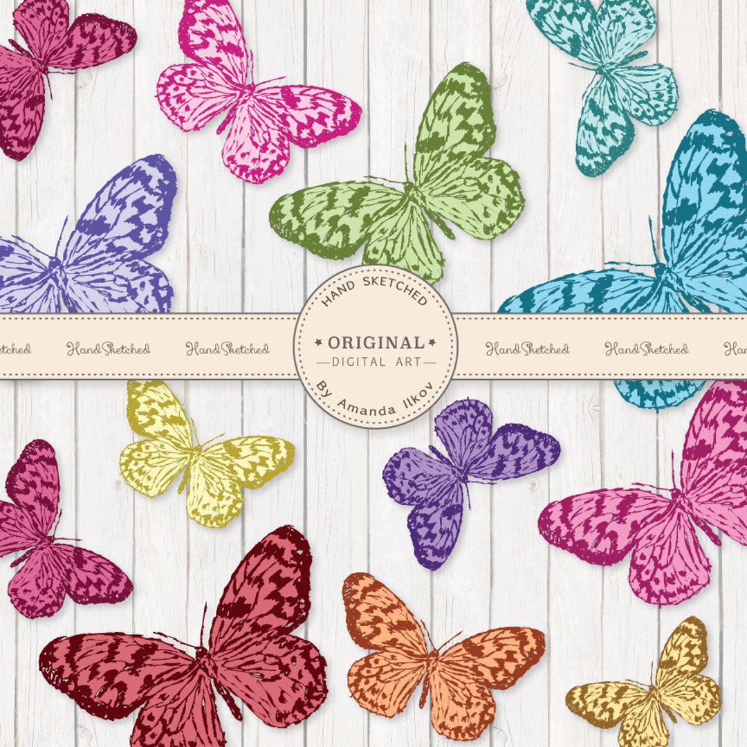 Professional Hand Sketched Butterfly Clipart Butterfly Clip Art, Hand ...