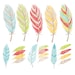 Professional Tribal Feathers Clipart & Vectors in Fresh - Feathers Clip ...
