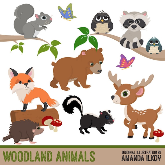 Baby Forest Animal Clipart