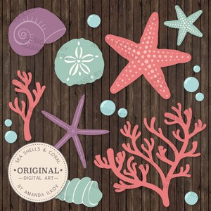 Premium Seashells Clipart & Vector Set - Vintage Seashells Clip Art ...