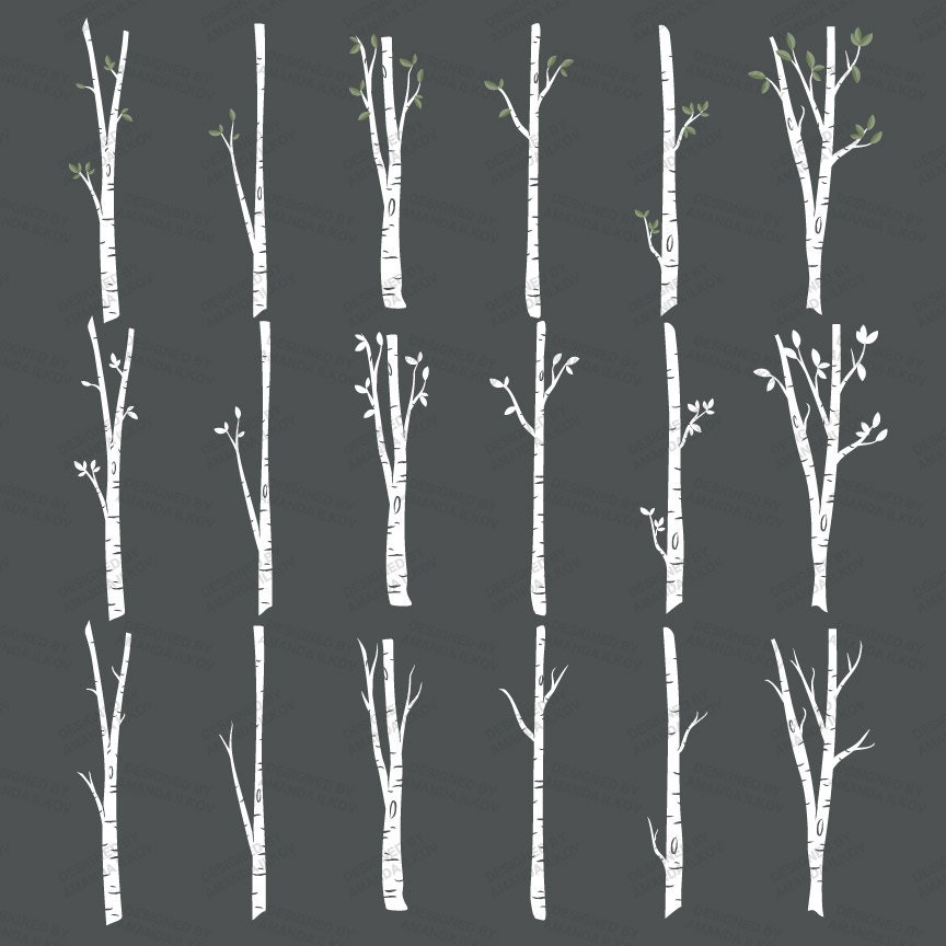 Premium Birch Tree Clipart & Vector Set - Birch Tree Clip Art, Birch ...