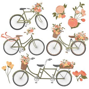 Emma Floral Bicycle Clipart & Vectors in Antique Peach Peach Bicycles ...
