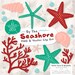 Premium Vector Seashells Clipart in Cherry Bomb - Bright Seashells ...