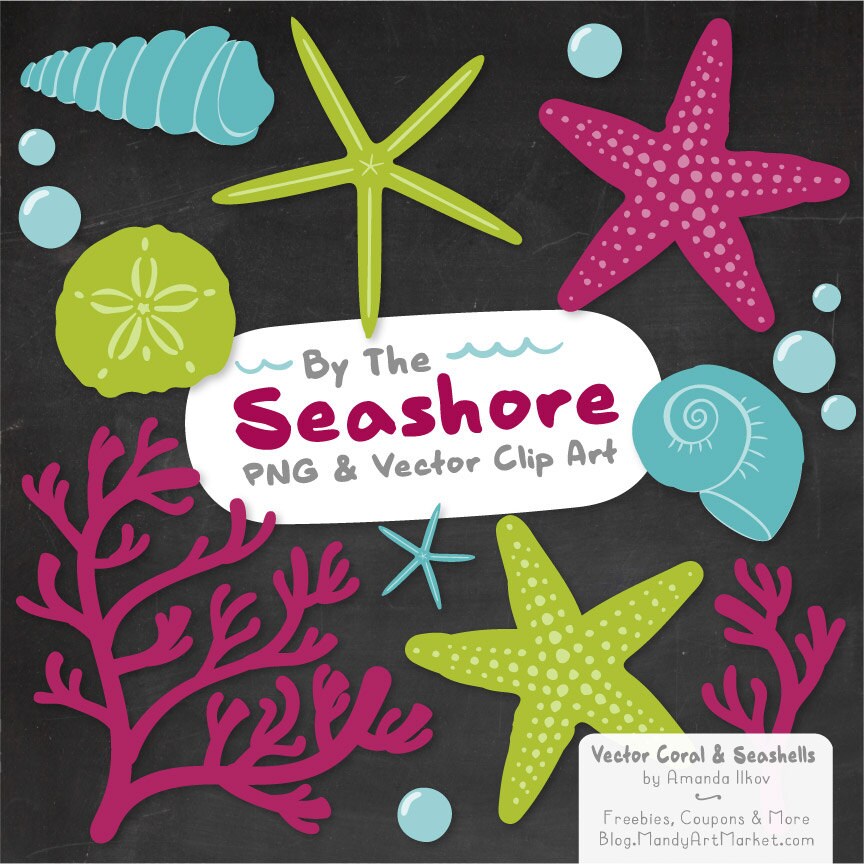 Premium Vector Seashells Clipart in Bohemian Bohemian - Etsy