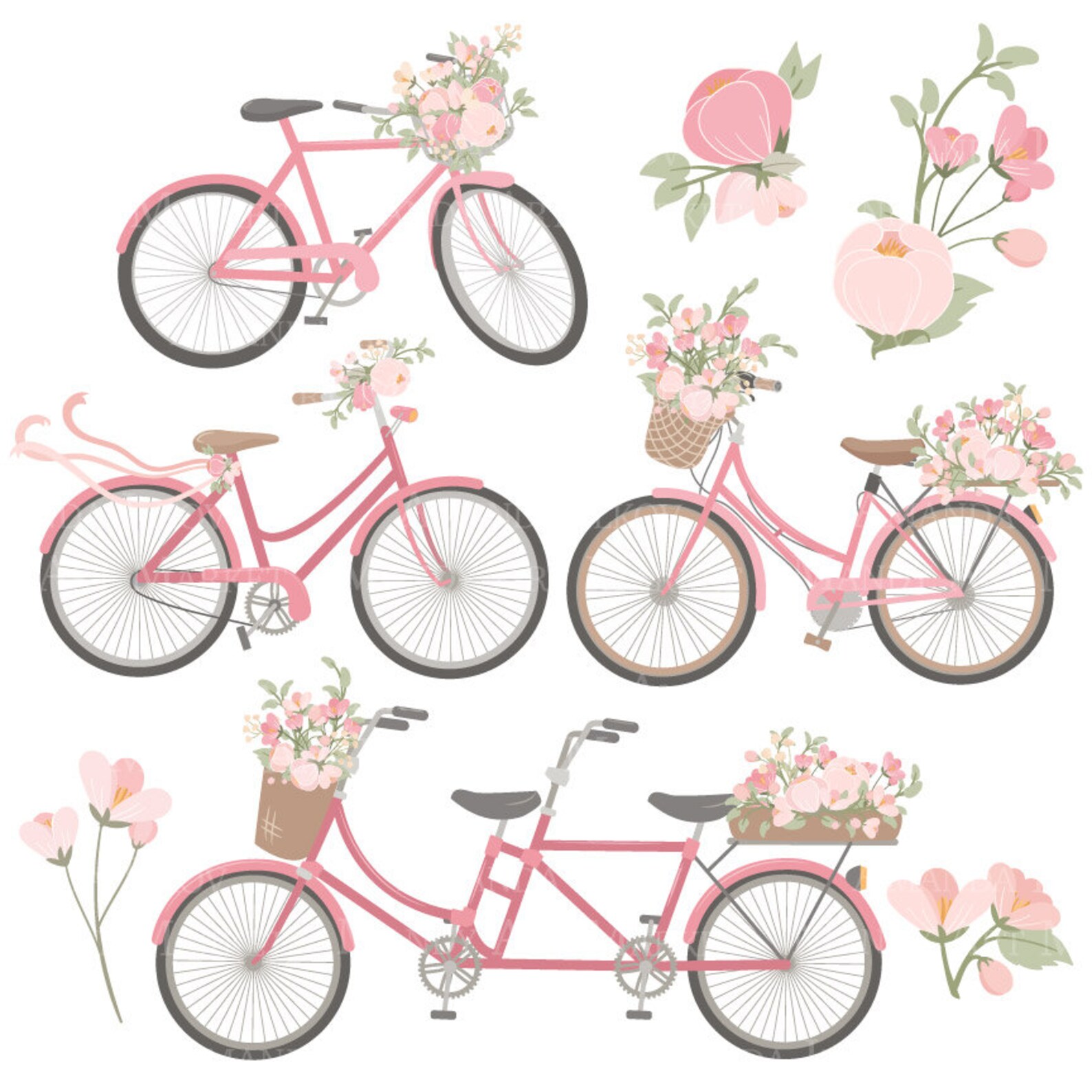 Emma Floral Bicycle Clipart & Vectors in Soft Pink Rose | Etsy