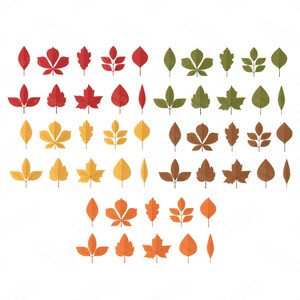Professional Autumn Leaf Clipart, Autumn Leaf Vectors, Fall Leaves Clip ...