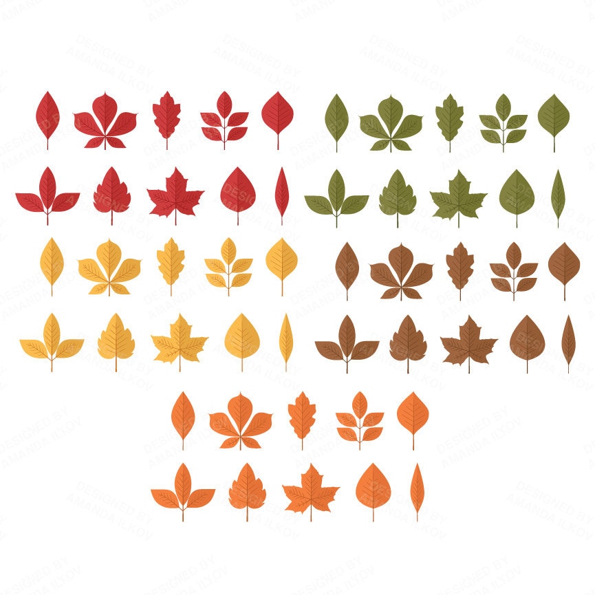Professional Autumn Leaf Clipart, Autumn Leaf Vectors, Fall Leaves Clip ...