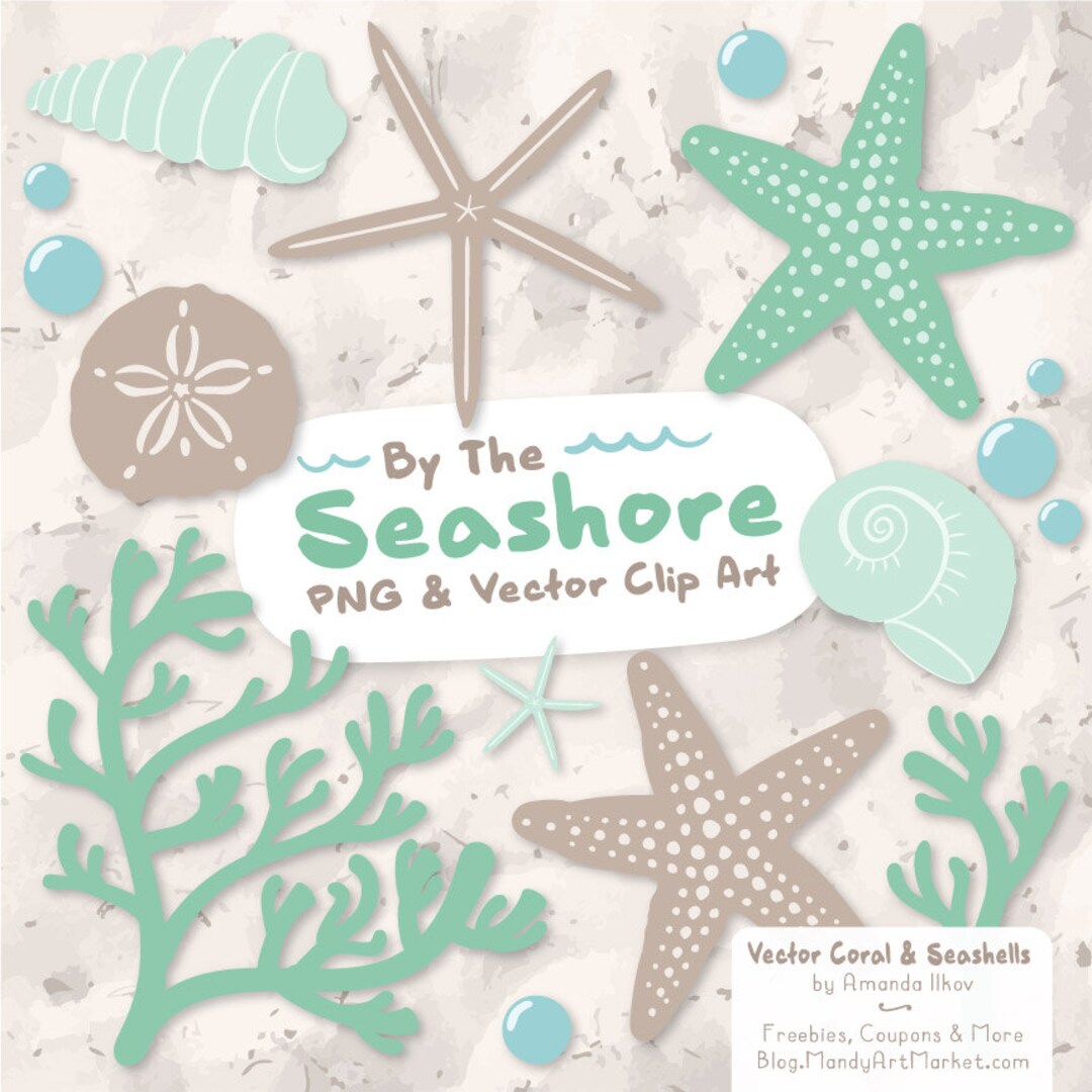 Premium Vector Seashells Clipart in Mint - Mint Seashells, Starfish ...