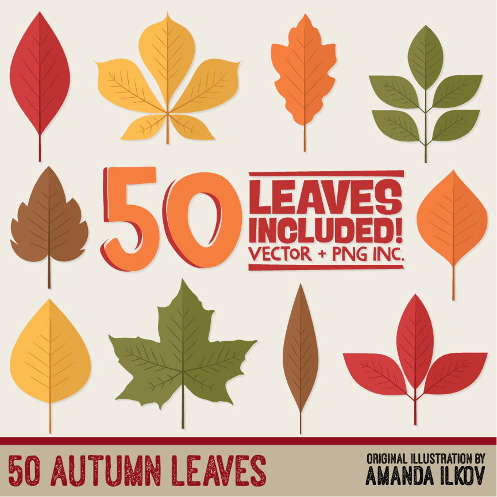 Professional Autumn Leaf Clipart Autumn Leaf Vectors Fall - Etsy