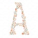 Professional Floral Alphabet Clipart & Vectors Peach Floral Monogram ...